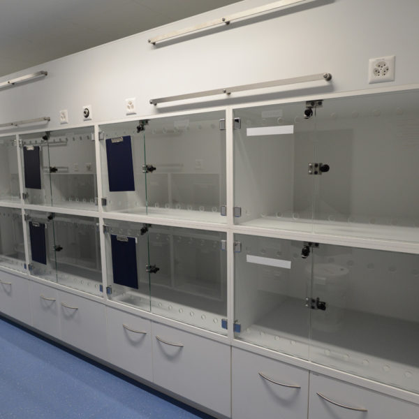 Veterinary Architects - Animal Welfare Architecture | ACD Projects