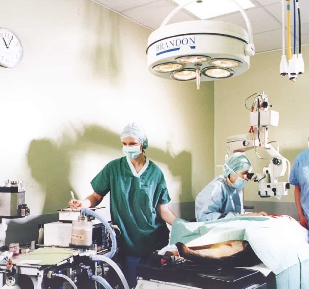 The Animal Health Trust – where it all began for ACD - ACD Projects