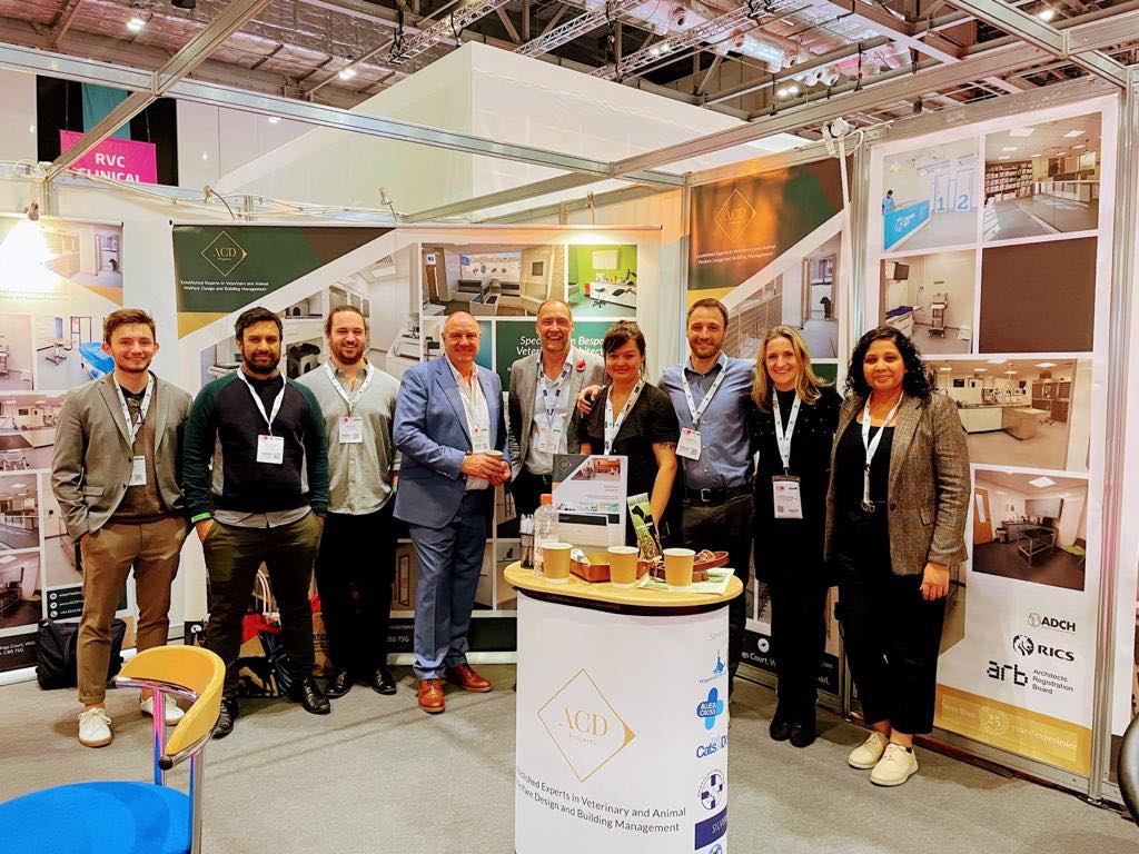 Festive Update - ACD Projects