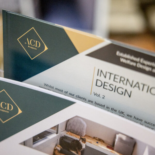 Clients Representative - ACD Projects