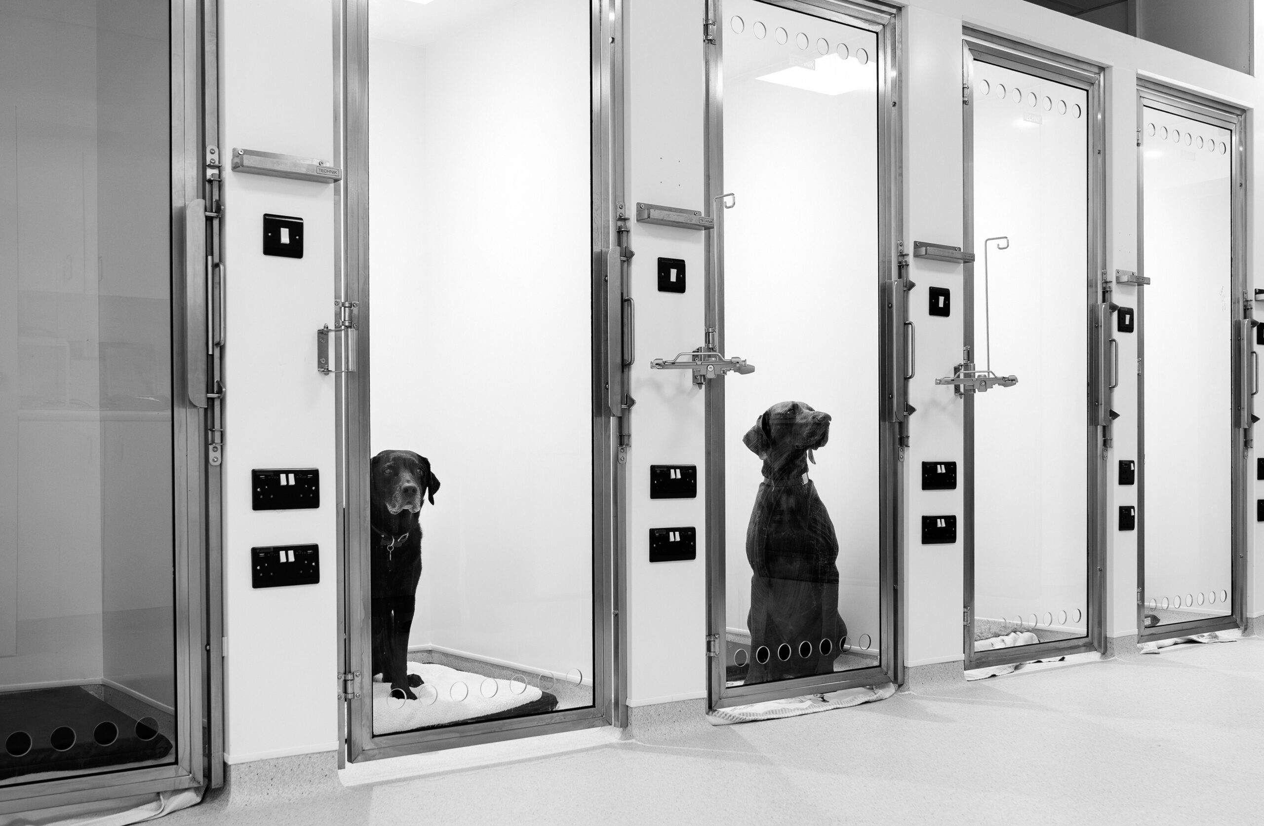 Meet The Team - ACD Projects