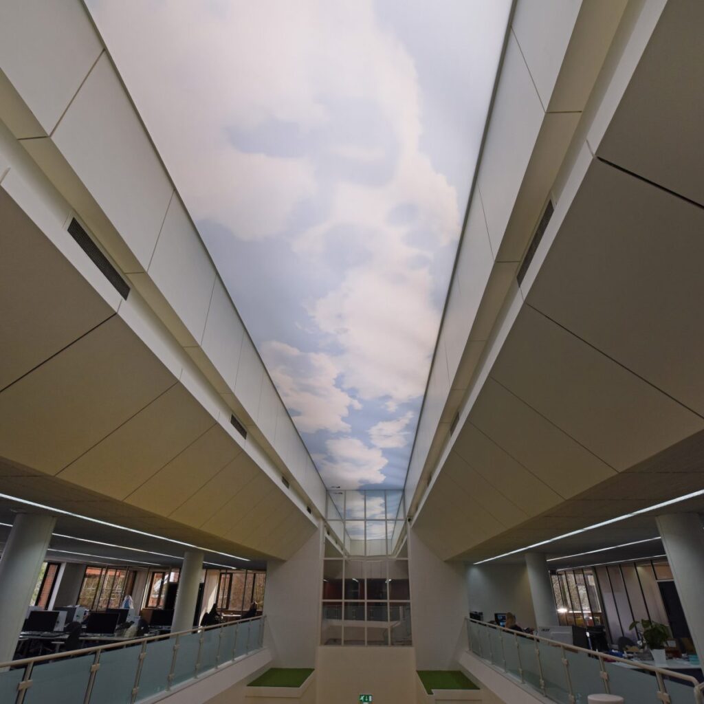 Veterinary Architecture - Animal Welfare Architecture | ACD Projects